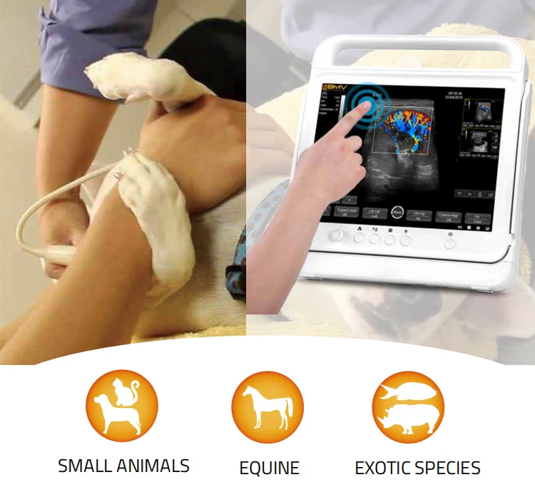 Veterinary Ultrasound Detector Animal Ultrasound Scanner| Alibaba.com