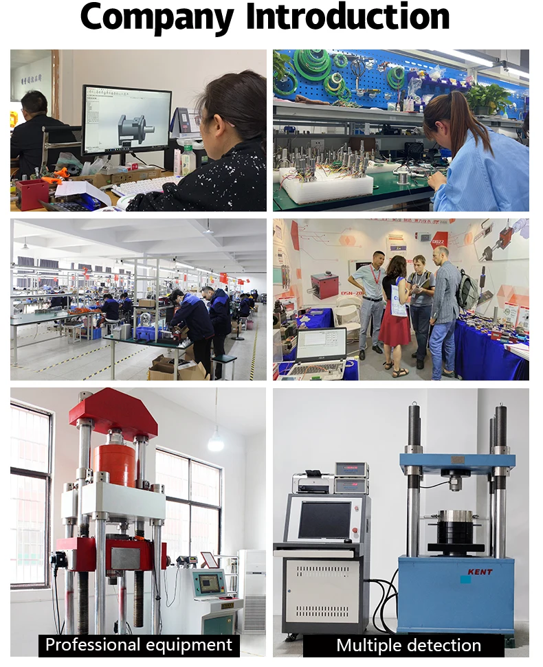 Portable Force Gauge Digital Hand Dynamometer Measuring Instrument ...