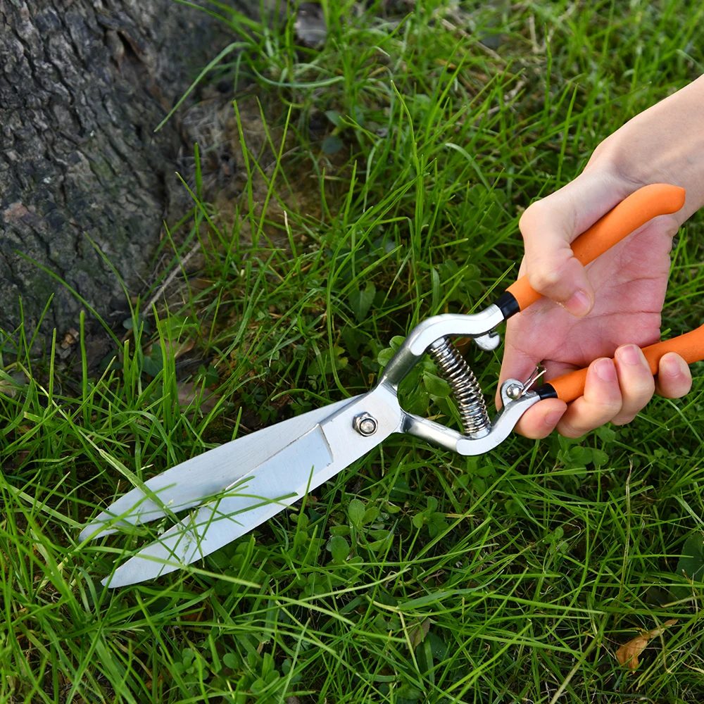 Winslow & Ross 12'' Manual Hand Grass Cutting Shears Carbon Steel Drop ...