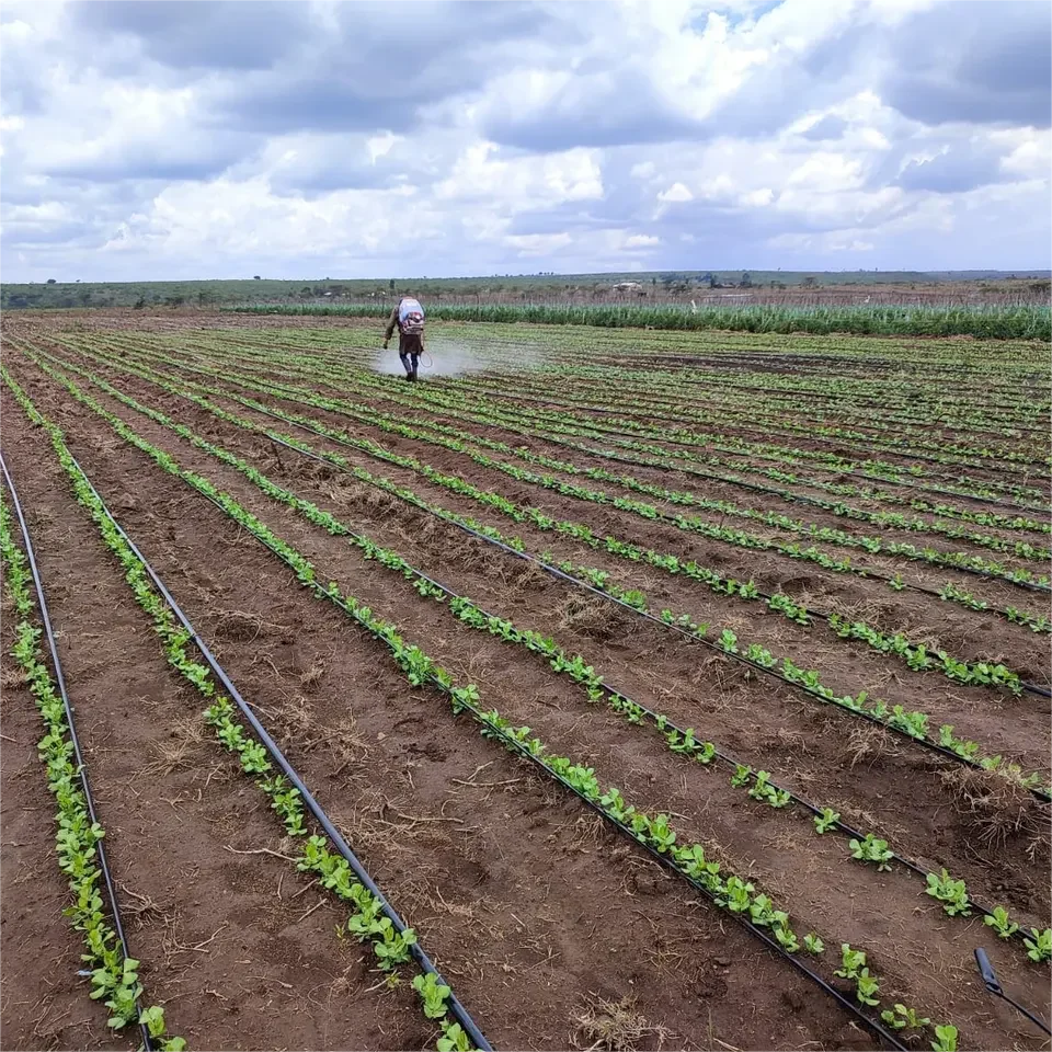 1 Hectare Kit Drip Tape System 16mm Double Hole Drip Tape Drip ...