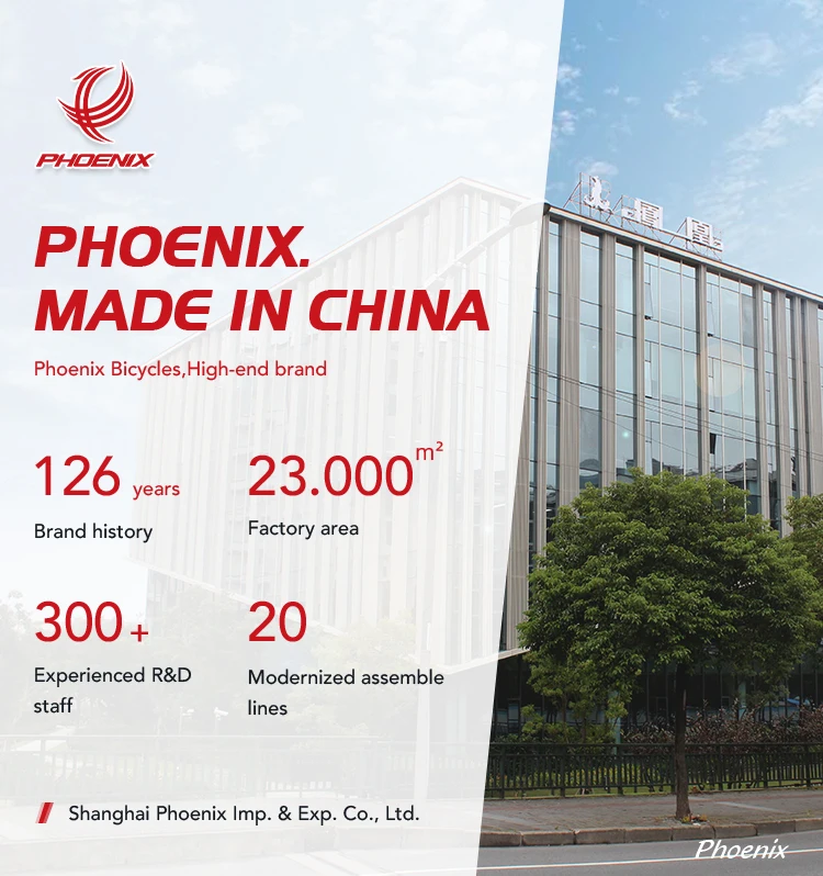 Phoenix Wholesale 700c Highway Bicycle Aluminum Alloy Frame 9-speed ...