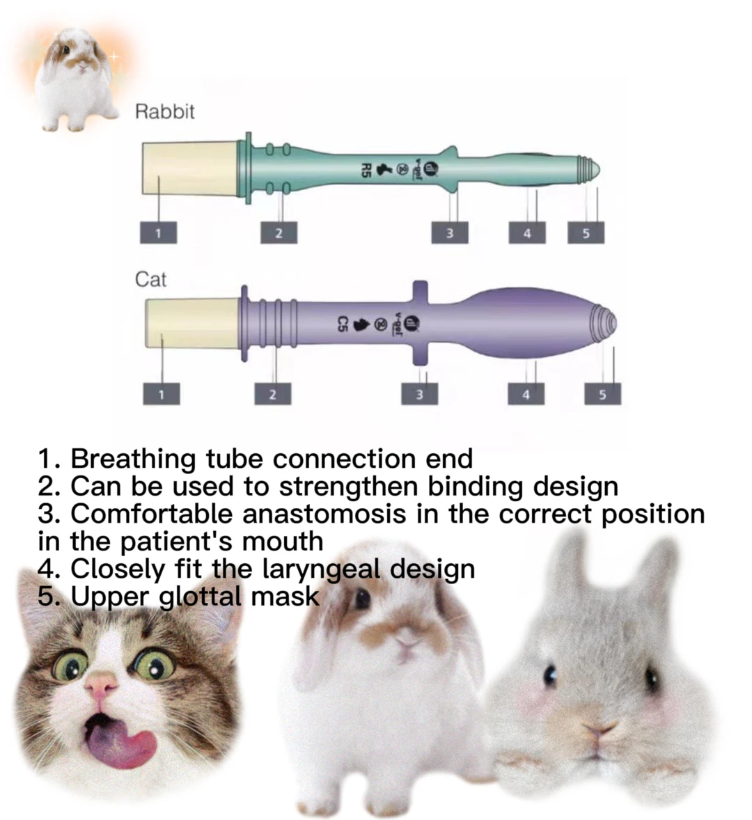 Aeolus Animal Supraglottic Airway Device for Cats and Rabbits| Alibaba.com