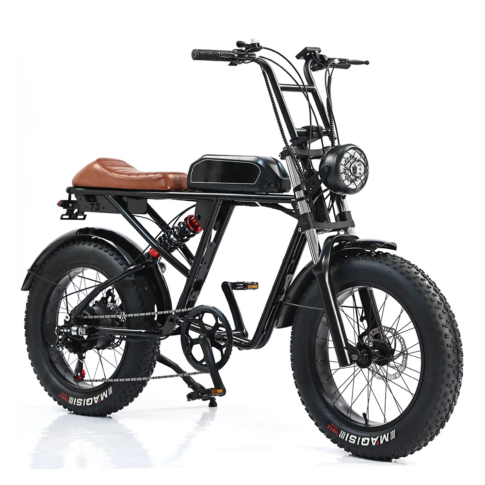 Customizable Super73 Electric Bike 1000W, 48V, 50km/h - Tailored ...