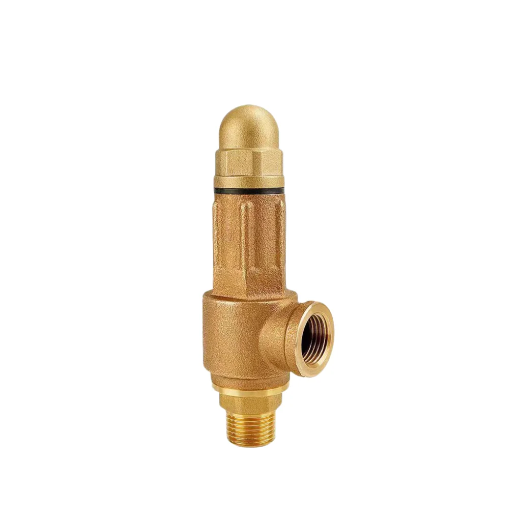 All-copper Steam Drain Wire Buckle Spring Safety Valve Pressure Relief ...