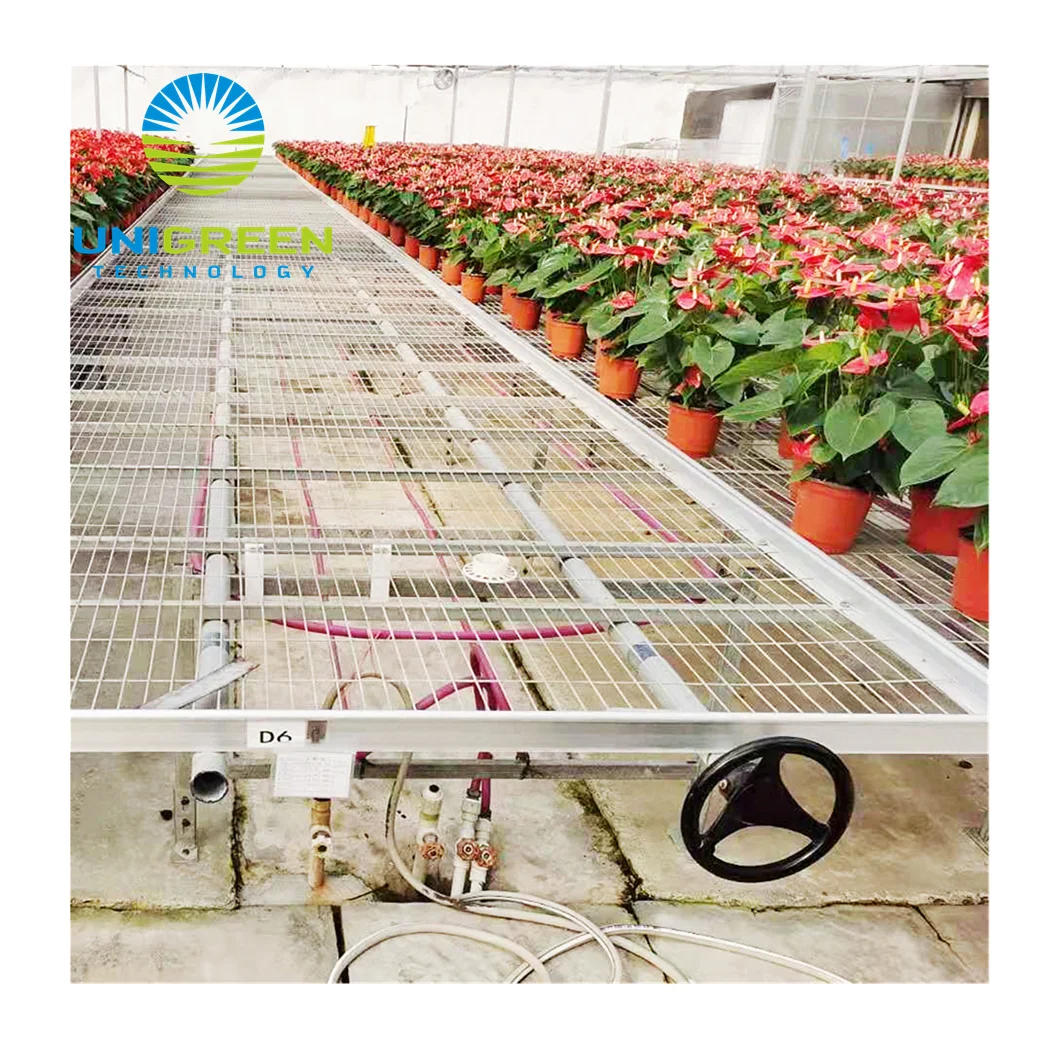 4x8 Flood Rolling Table With Vertical Poles Hang Net Led Light ...