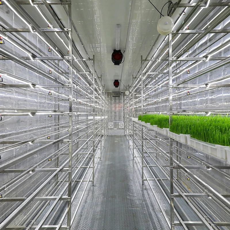 Greenhouse Supplies Smart Farm Growing Shipping Container Hydroponic ...