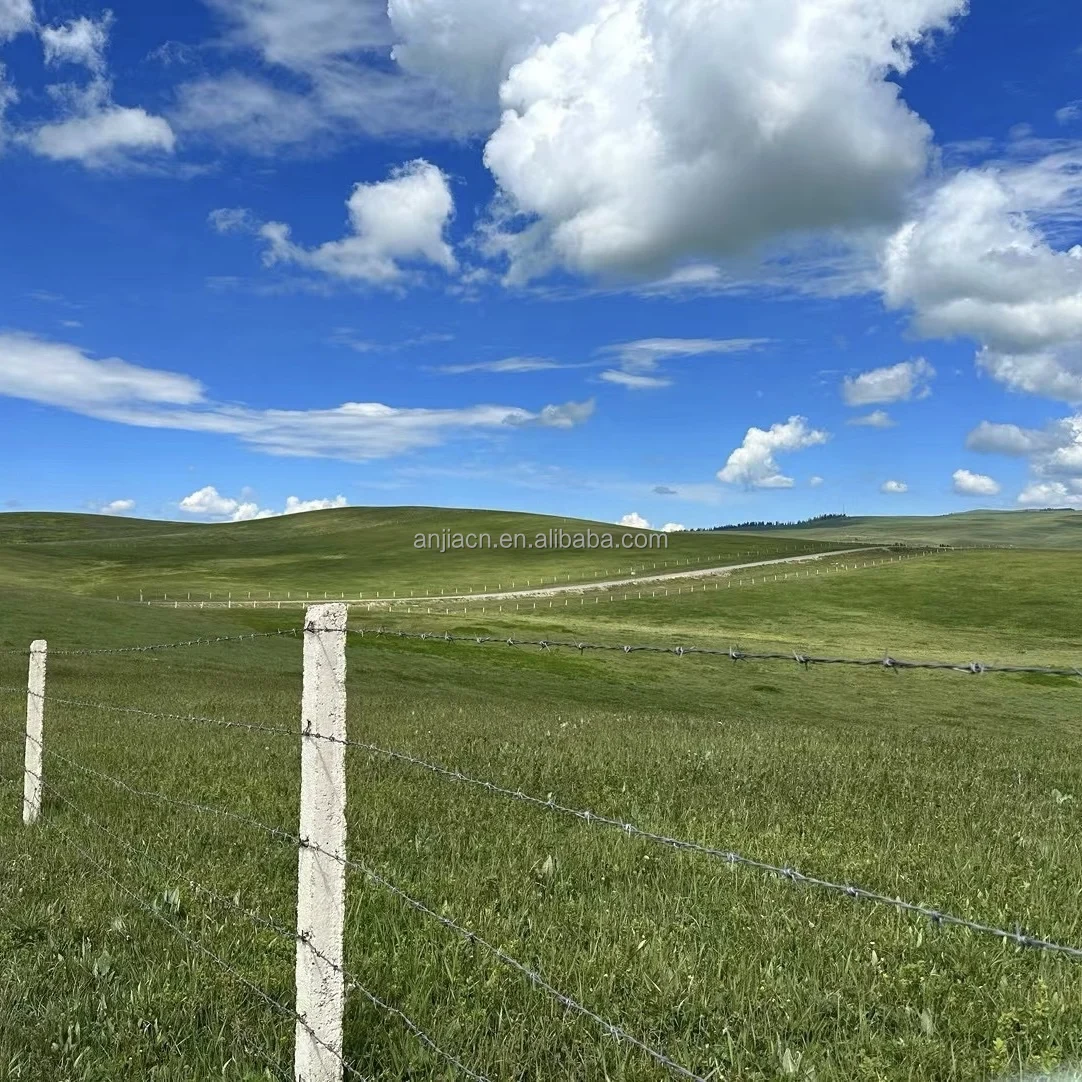 Zinc Coated Steel Fence Iron Wire Barb Wire Farm Field Galvanized 12.5 ...