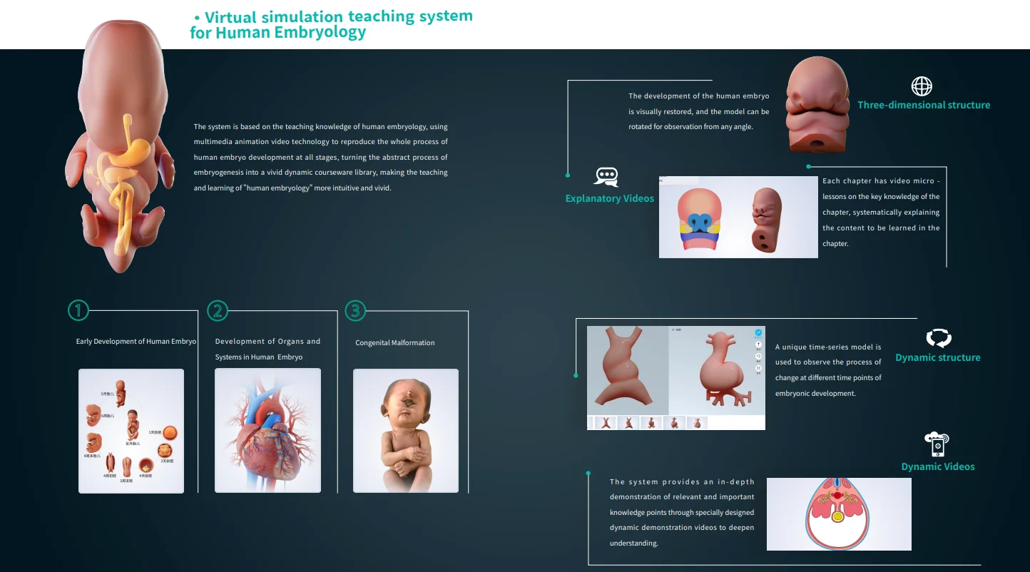 Anatomage 3D Human Anatomy System - Advanced Medical Learning