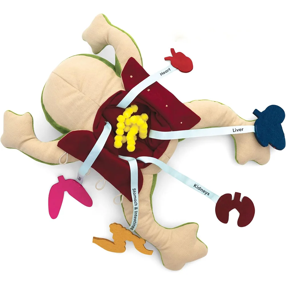 Froggie Lab Dissection Anatomy Fun Science Learning Stuffed Animal ...