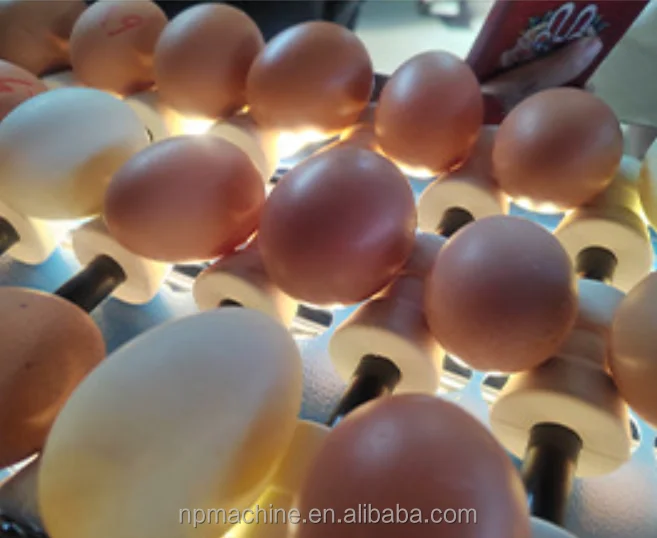NP Brand Duck Egg Grader Small Egg Grading Machine Egg Sorting Machine ...