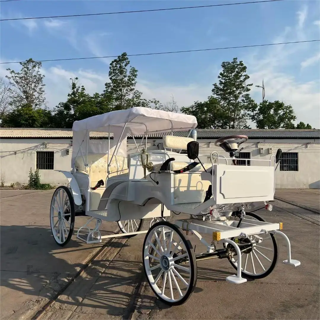Euro Type Sightseeing Horse Cart Christmas Horse Lighted Carriage ...