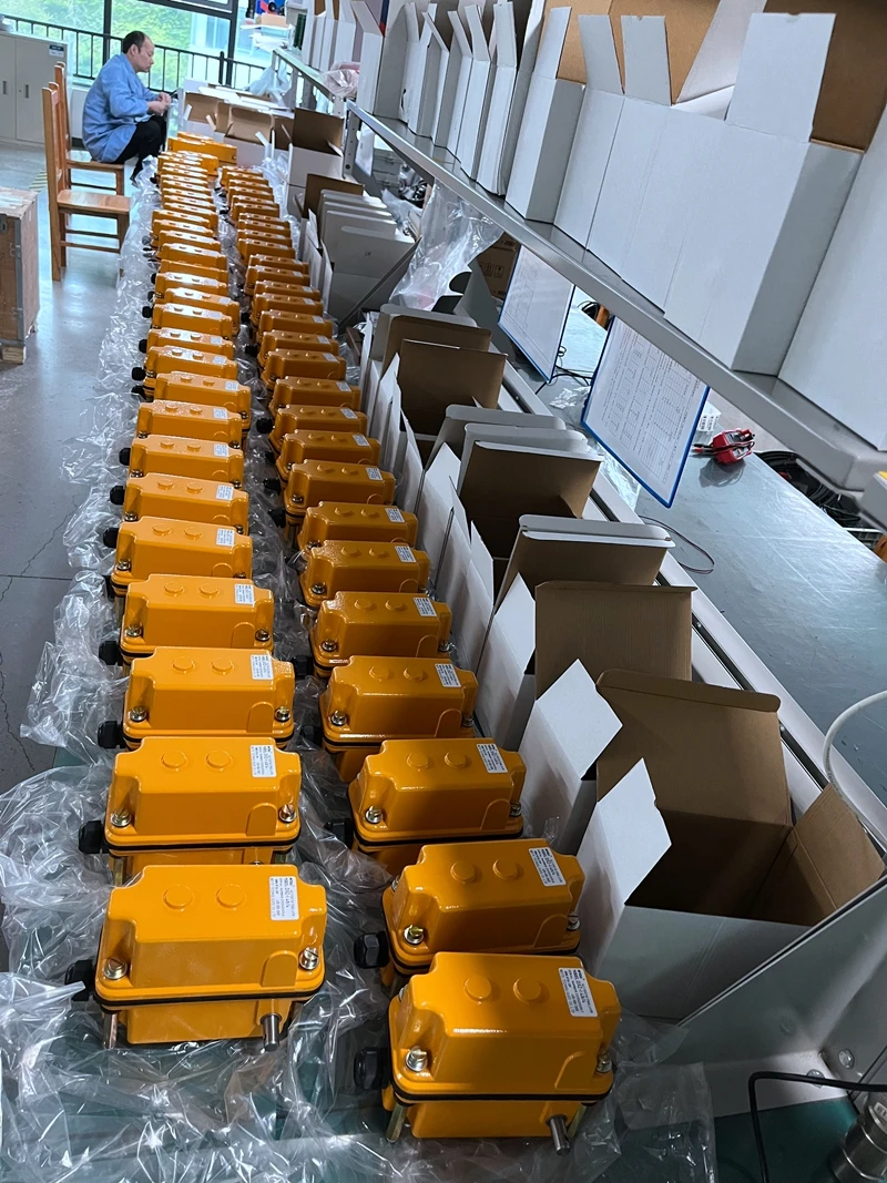 1 Ton Electric Chain Hoist Worm Adjusting Overload Limit Switch For ...