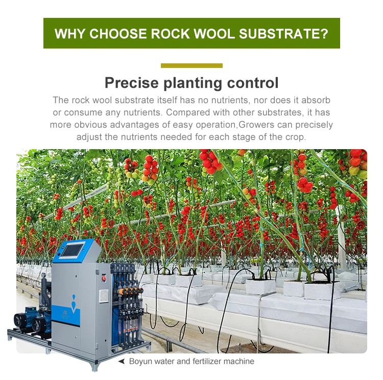 Boyun-agricultural Greenhouse Rock Wool Cubes Hydroponic Grow For ...