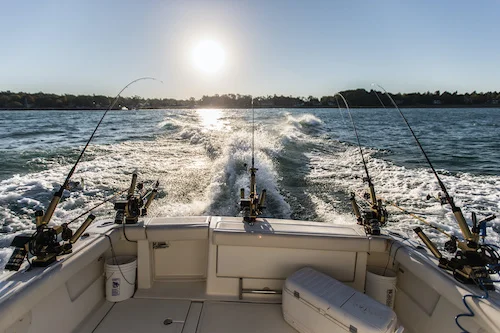 16ft Professional Grade Pontoon Fishing Boat with Rod Holders for ...