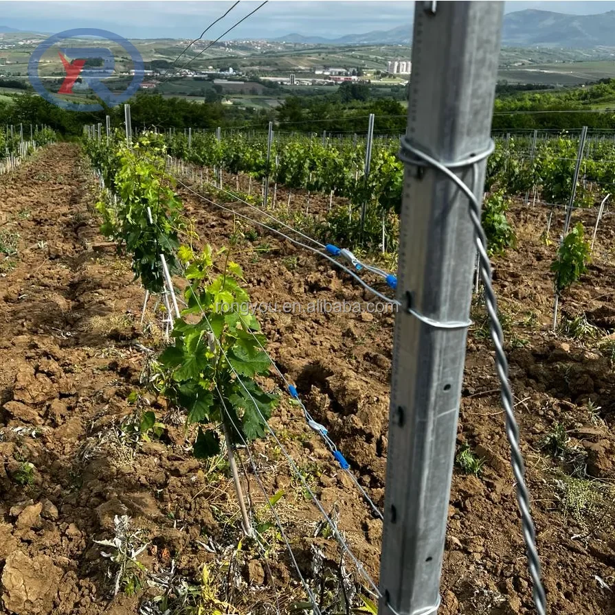 Galvanized Metal Rods for Vineyard Trellis & Orchard Fencing