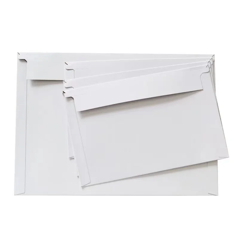 Customized Packaging Envelopes - Lnye Printing Solutions