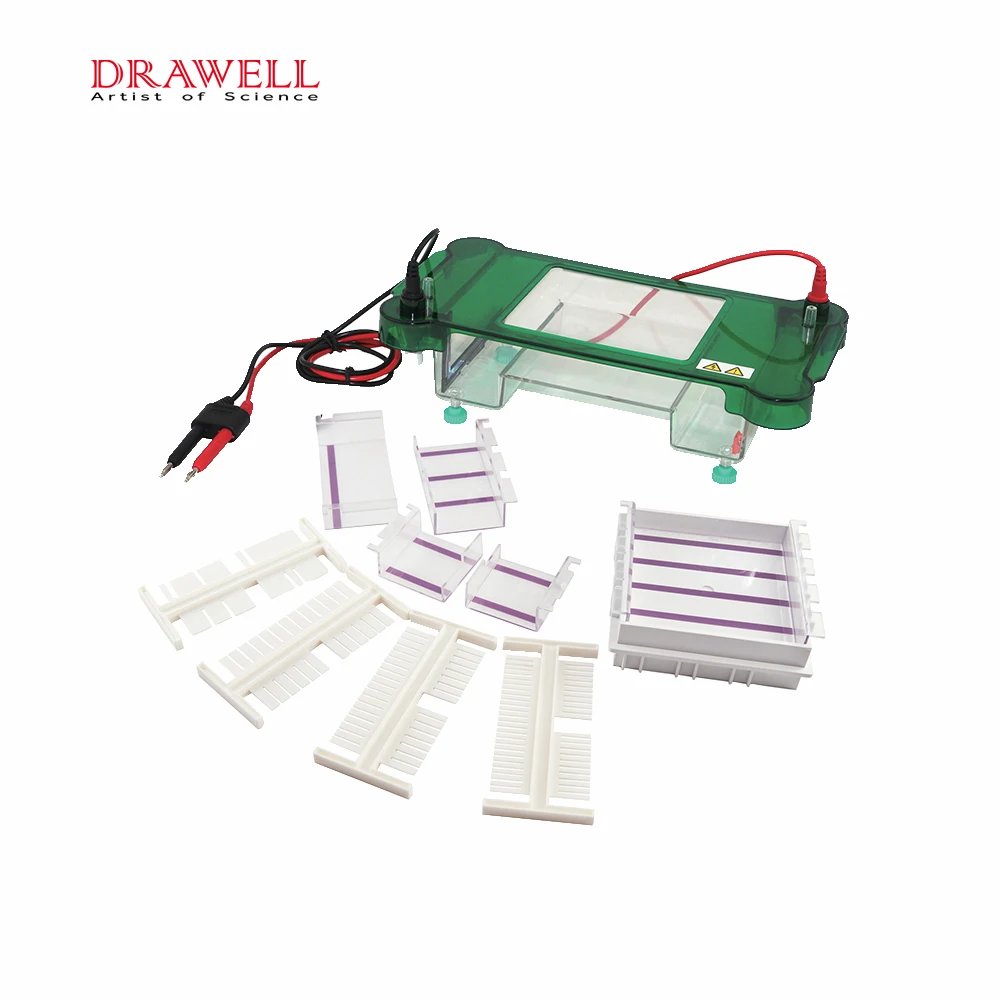 Drawell Electrophoresis Instrument - Automatic Capillary