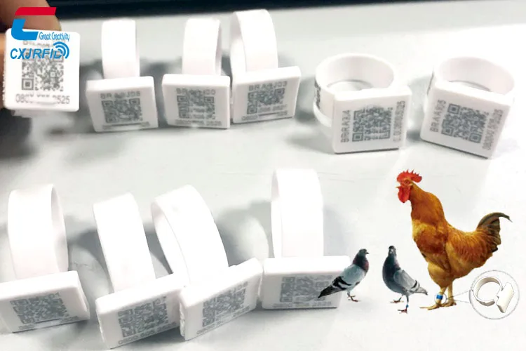 Benzing System UHF Tracking Micro Chip Racing Bird RFID