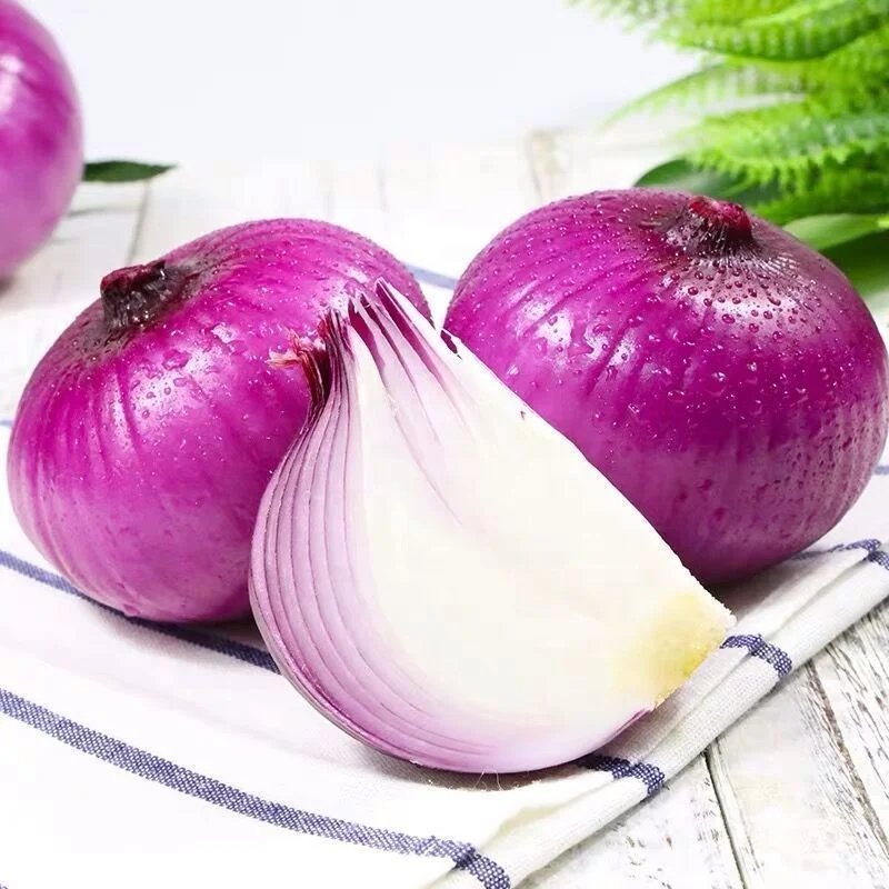 Fresh Red Yellow Onions - Wholesale Sale & GAP Certification