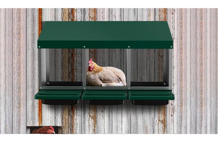3 Compartment Roll Out Layer Nest Box - HAIMU Chicken Coop
