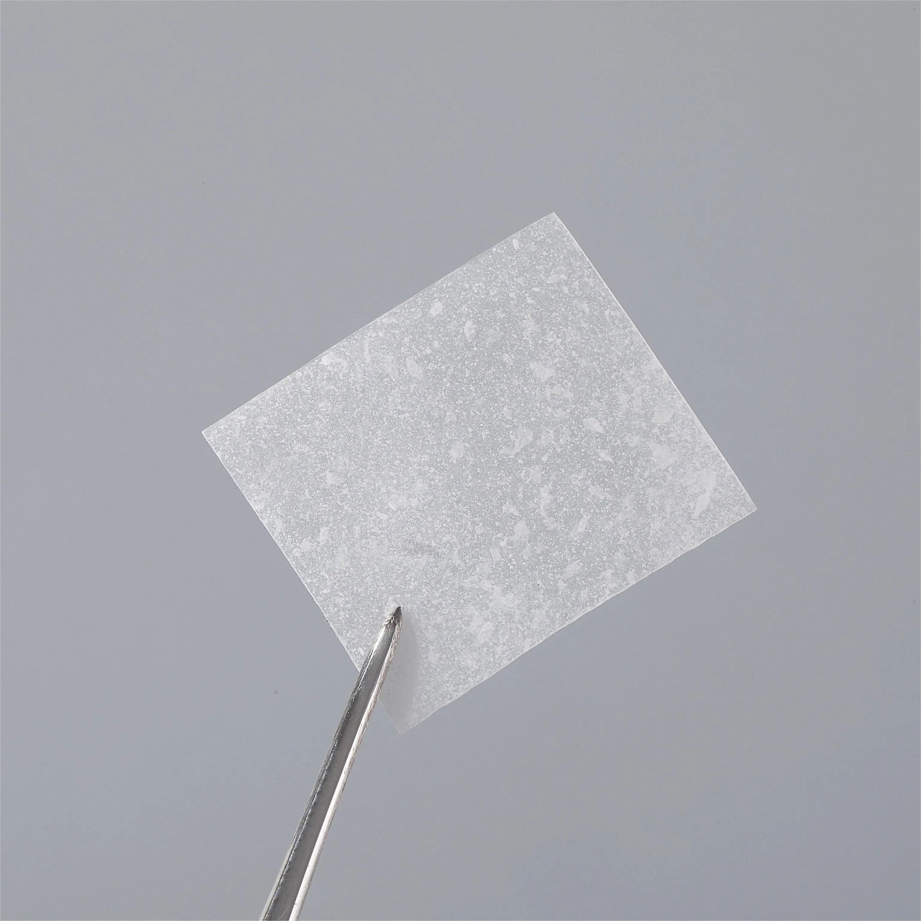 Bone Membrane (GBR) - Absorbable Collagen for Orthopedic Surgery