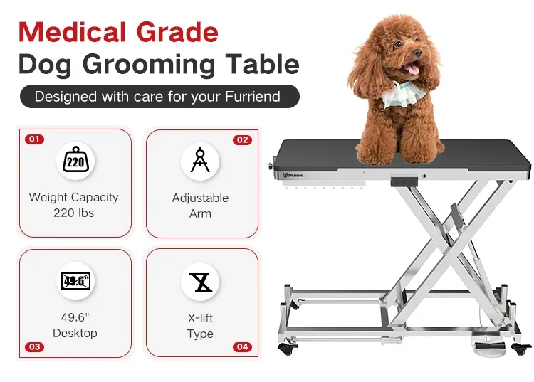 Professional 304 Stainless Steel X Structure Electric Lifting Dog ...