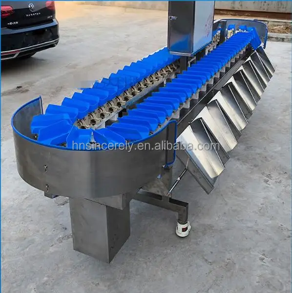 Automatic Potato Weight Grading Sorting Machine Sweet Fruit Seafood Shrimp Weight Sorter And ...