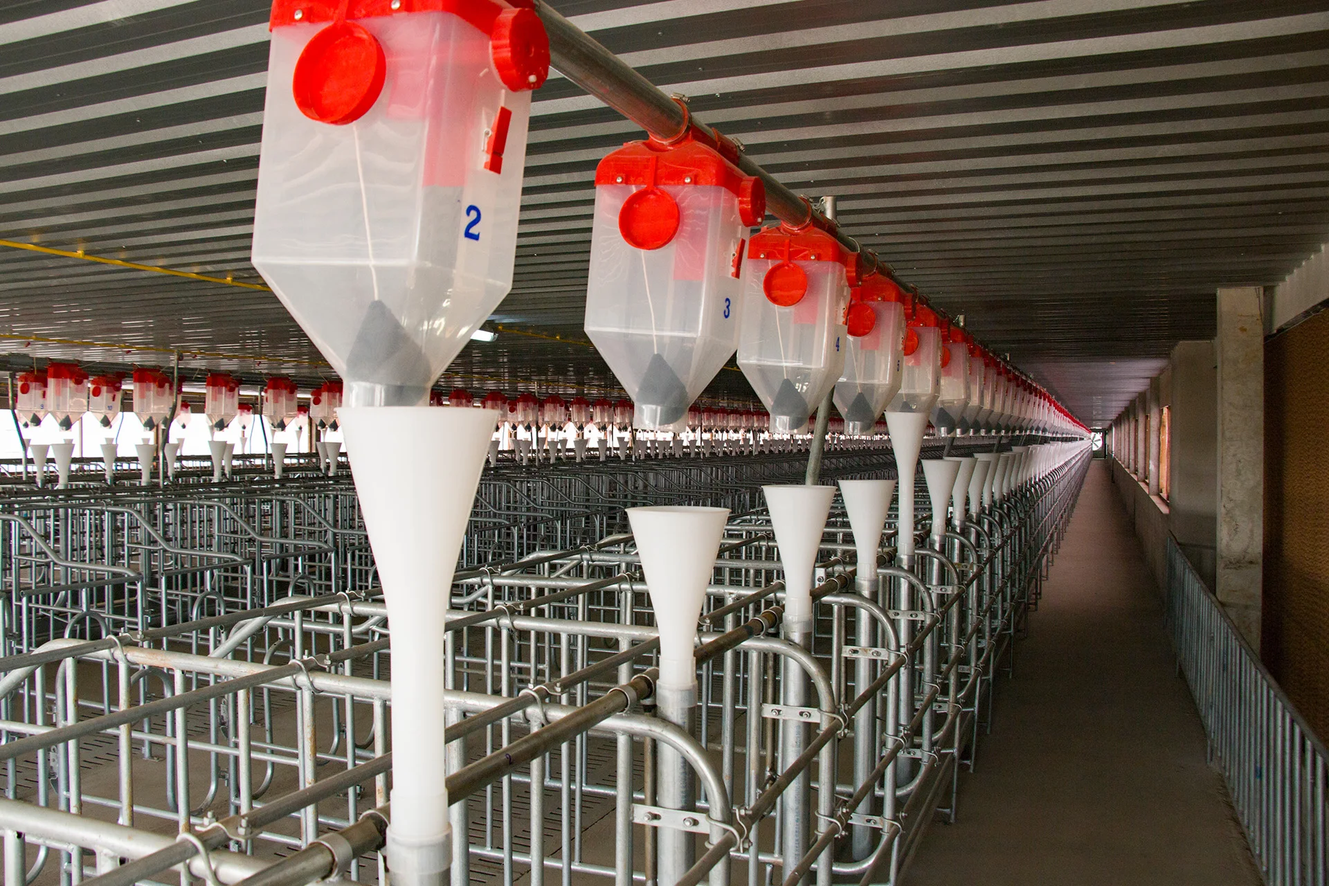 Pig Equipment Gestation Cages for Pigs Hog Gestation Crates