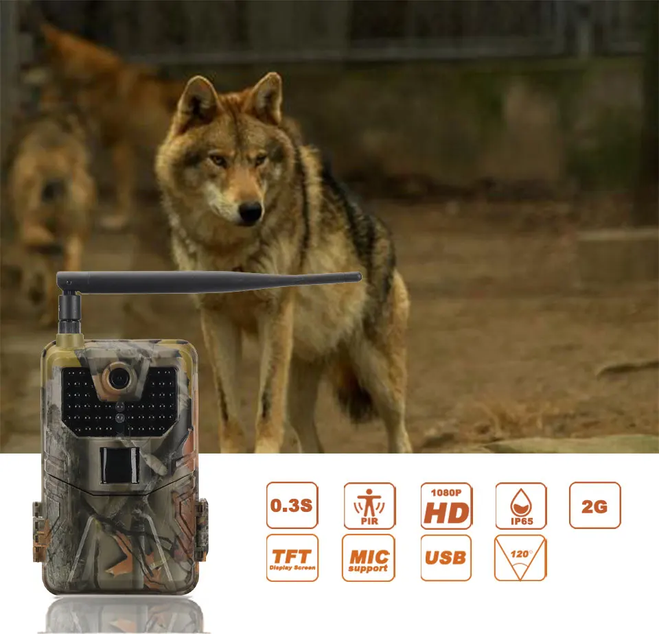 Suntekcam HC-900M - 20MP Outdoor Hunting Camera with Night Vision