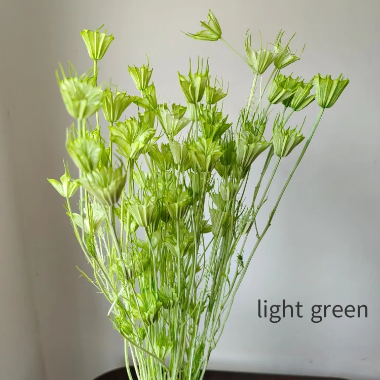 Natural Star Anise Octagon Flower Dried For Bouquets & Wedding Decor ...