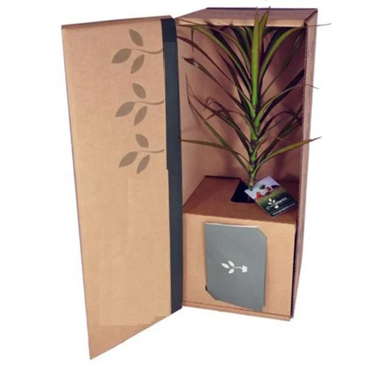 Custom Corrugated Cardboard Potted Indoor Plant Shipping Box