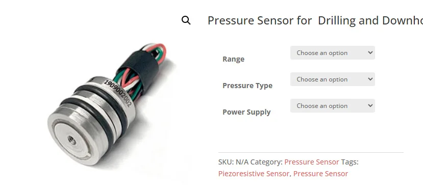 Pressure Sensor for Drilling and Downhole - Customized Support