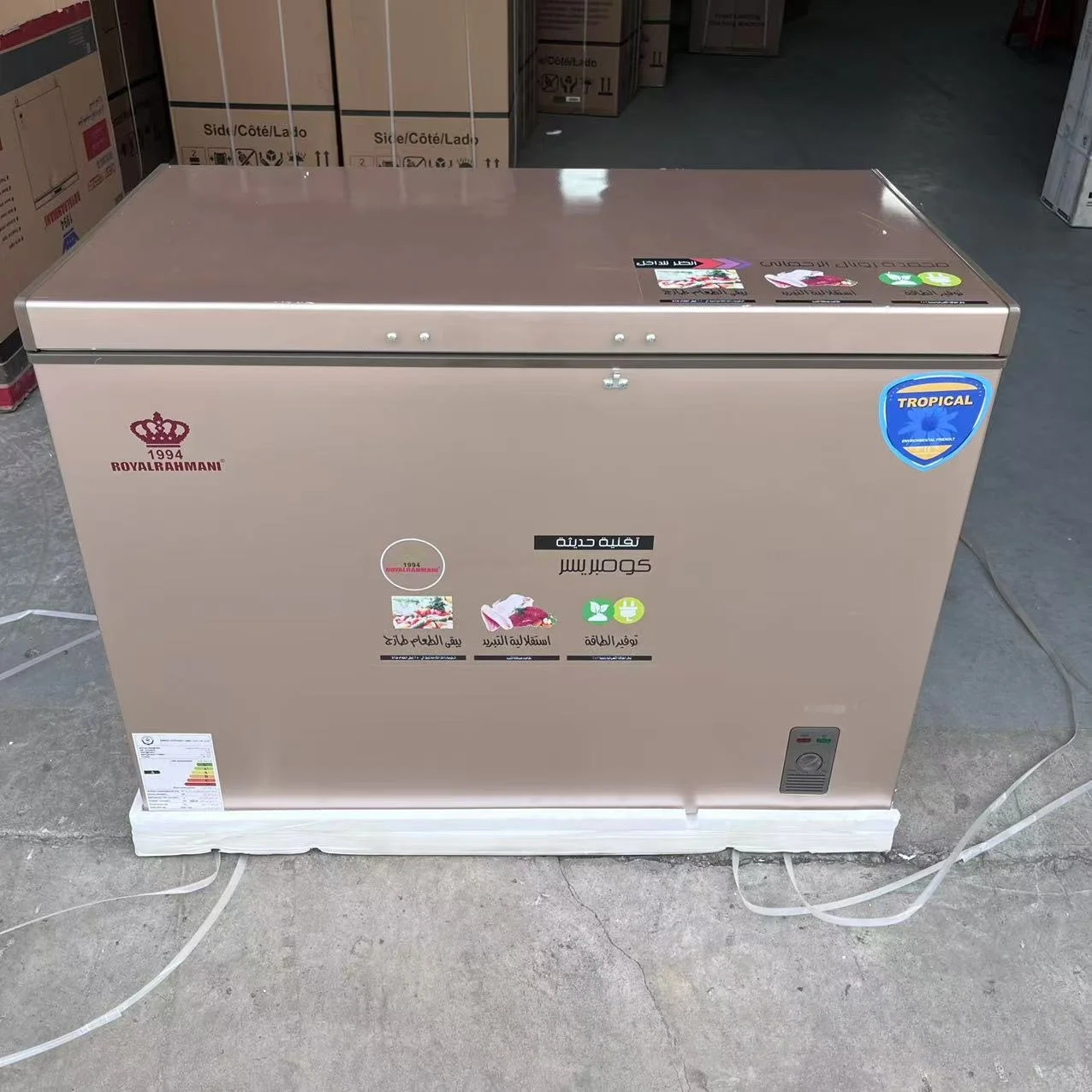 Commercial Horizontal Freezer - 300L Capacity & Double Doors