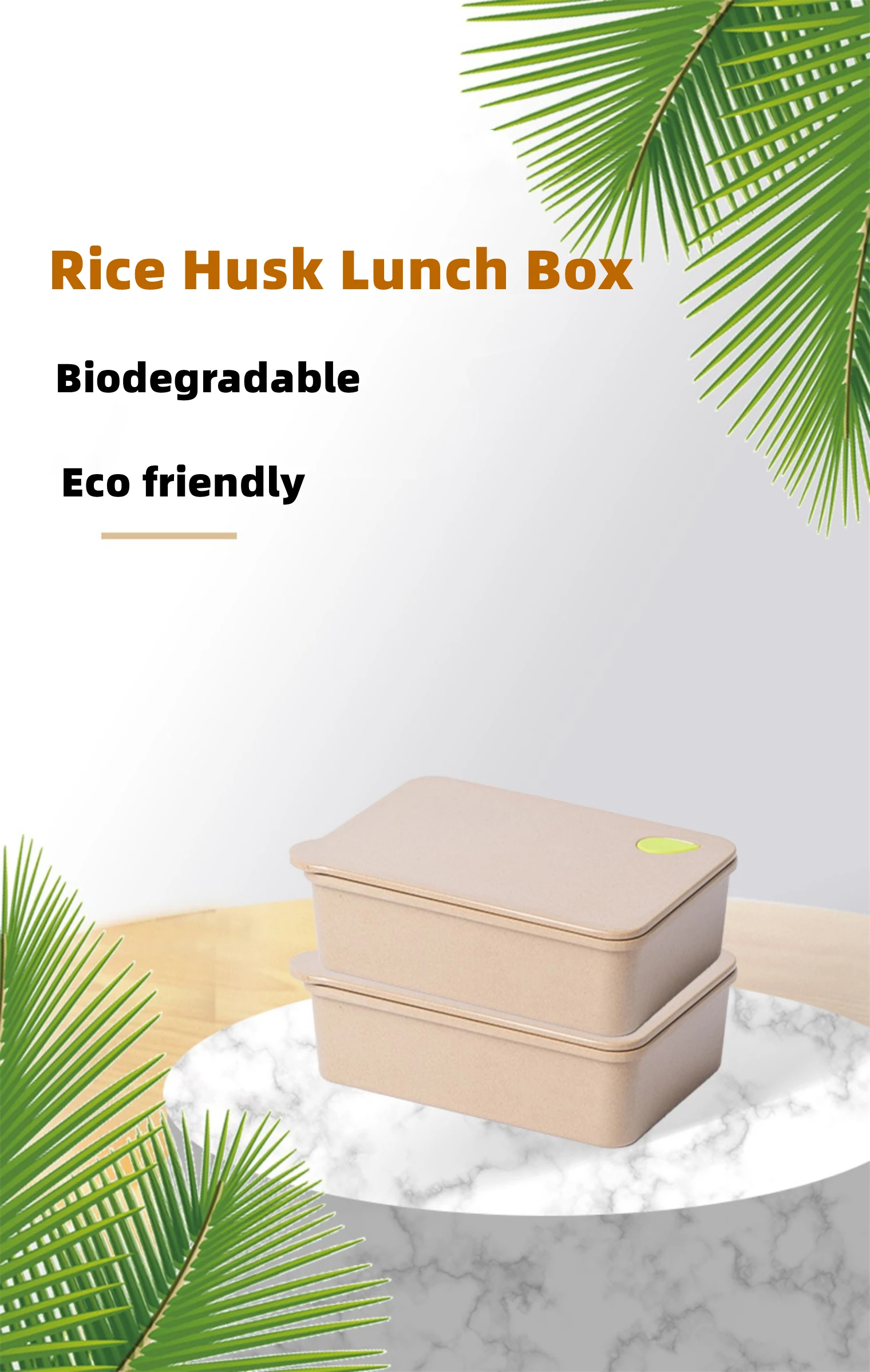 Rice Husk Airtight Lunch Boxes - Biodegradable & Durable
