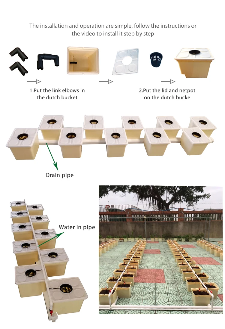Dutch Bucket Plants Hydroponic Dutch Buckets Dutch Bucket Hydroponic ...