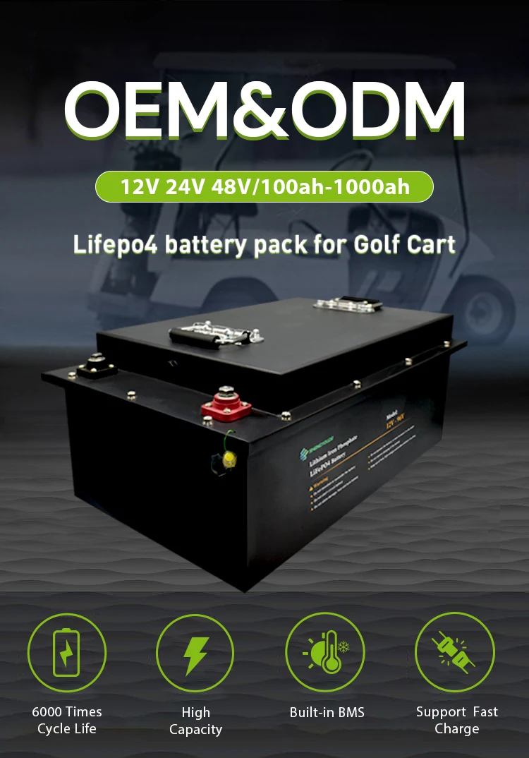 24v 250ah Lithium Ion Batteries Electric Vehicle Forklifts Campers ...