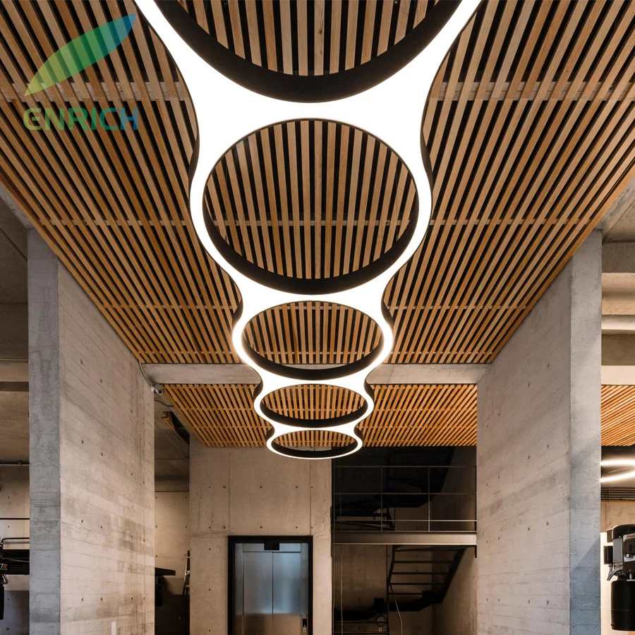 Modern Office Direct Lighting Suspended Led Star Cluster Aquarius ...