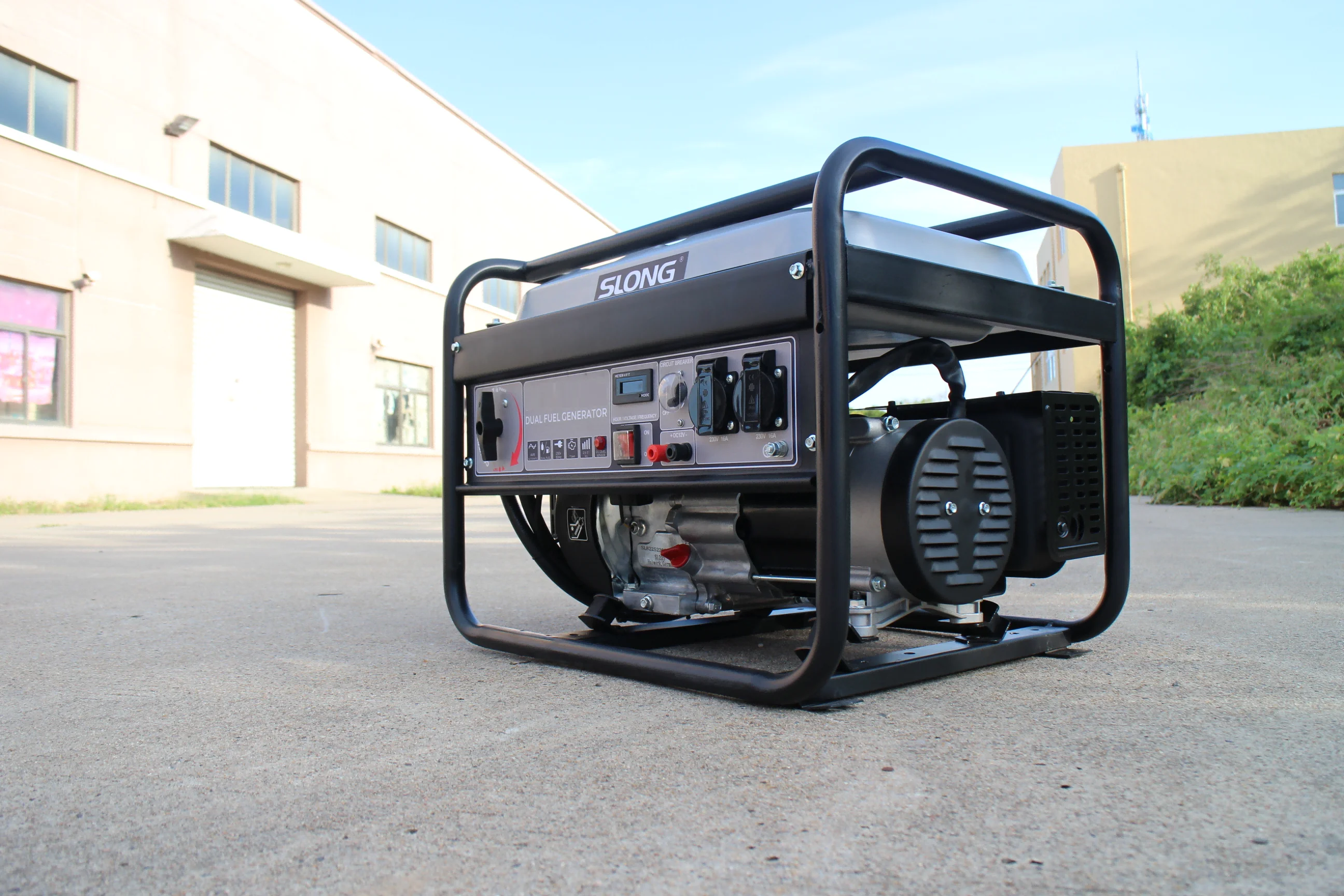 Slong Portable Gasoline Lpg Generator Set Home Use Dual Fuel Generator ...