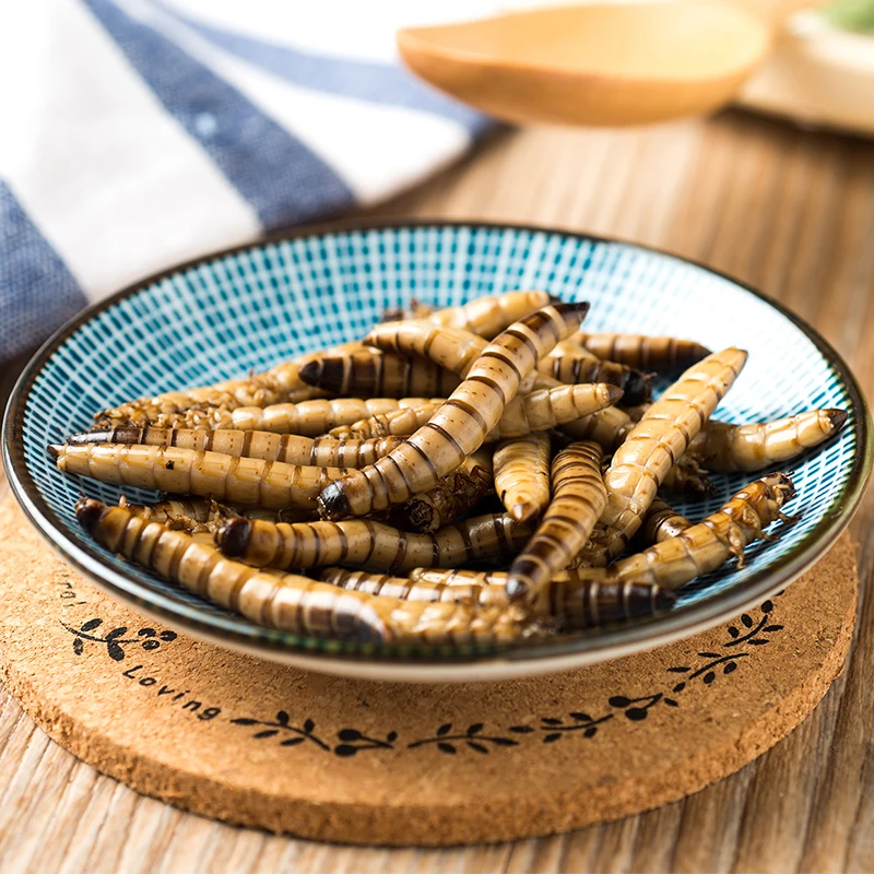Edible Superworm Pet Food Edible Insect Eco-fresh Superworm Reptile ...