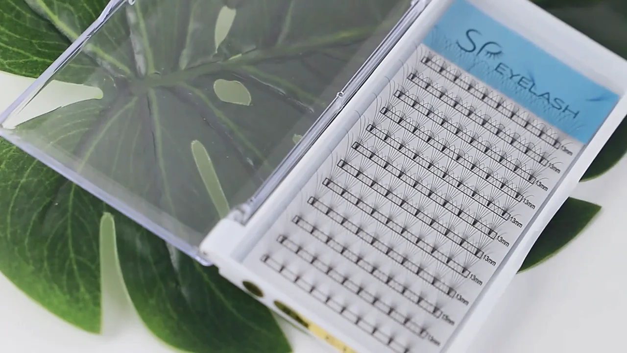 Premium Silk Hand Made 6d Russian Volume Lash Individual Eyelash ...