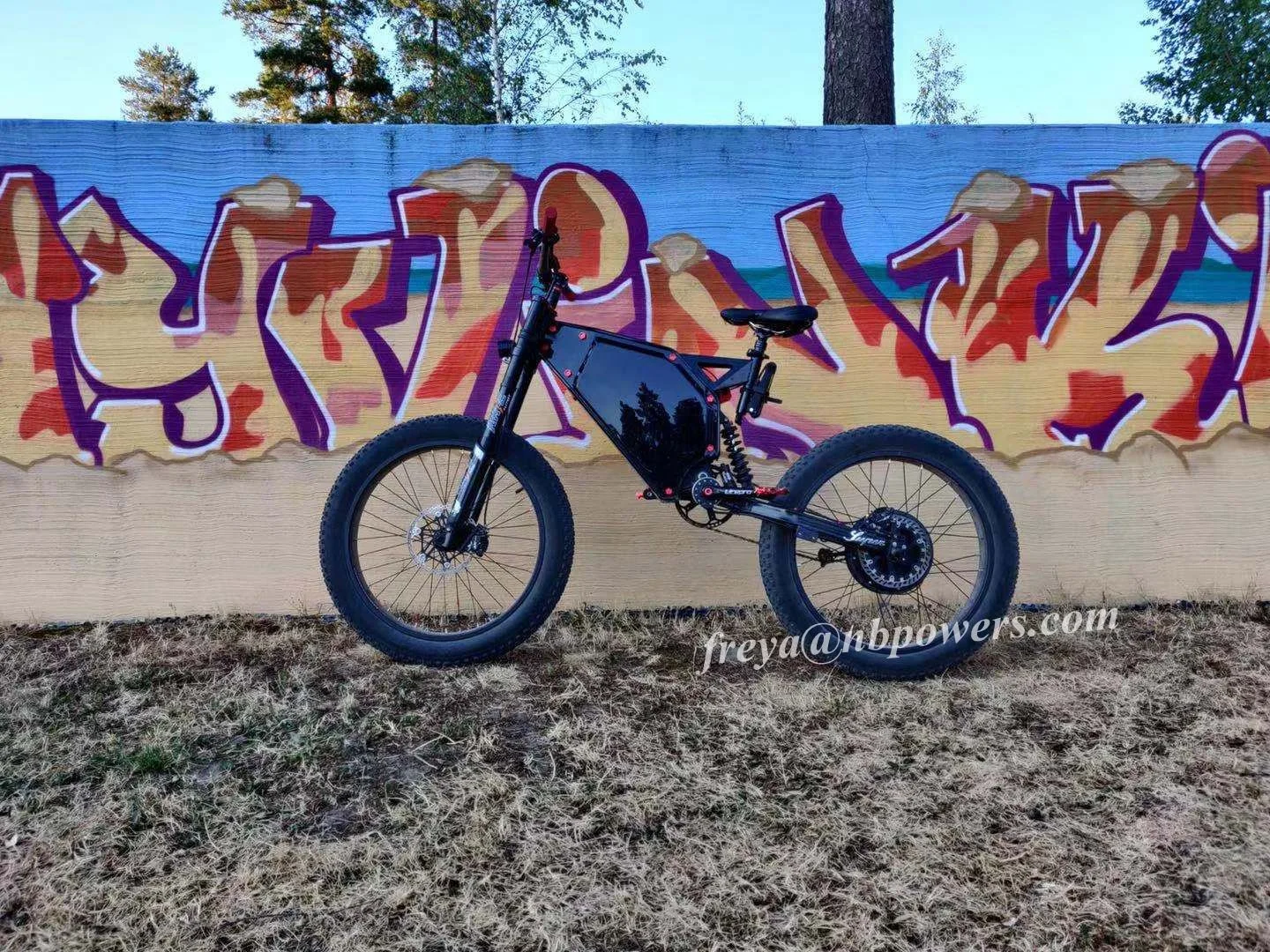 Standard Steel Ebike Frame for 3000W Electric Bike Kit & OEM/ODM