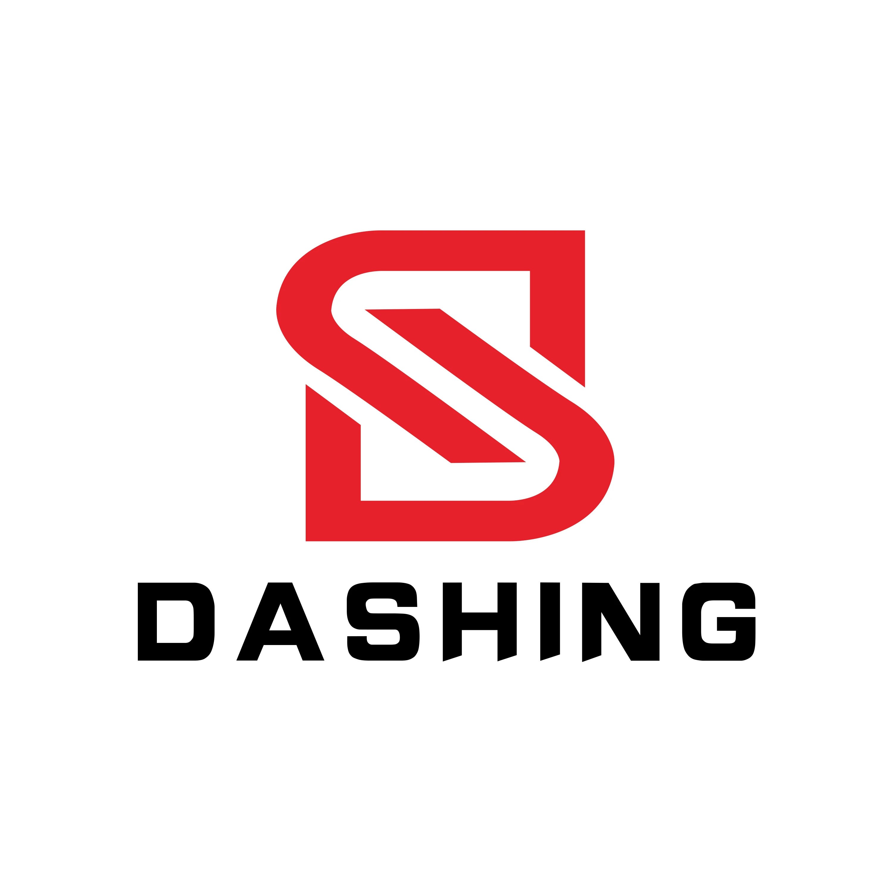 Company Overview - Dongguan Dashing Packing Products Co., Ltd.