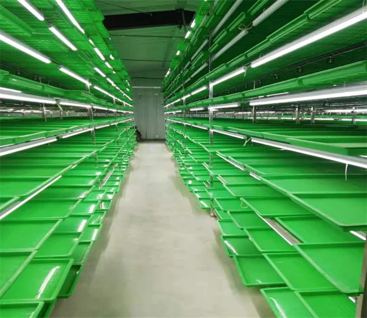 Automatic Barley Fodder Growing Systems - High Efficiency