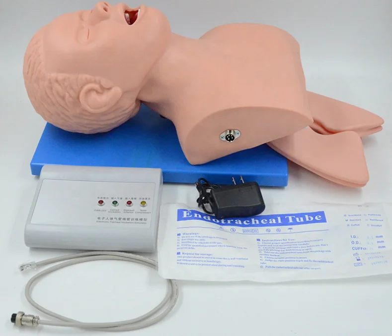PVC Human Tracheal Intubation Model for Medical Science Training for ... PVC Human Tracheal Intubation Model for Medical Science Training for ...