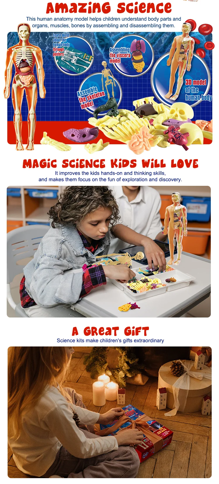 28PCS Body Parts Sets - Interactive Human Body Anatomy Kit