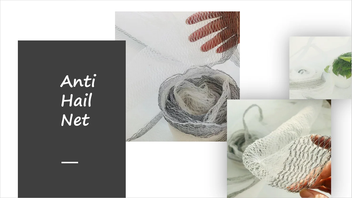 White Hdpe Garden Anti Hail Net Factory Anti Hail Net Apple Tree Anti ...