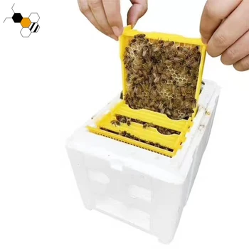 Plastic Box For Bee Honey Queen Bee Hive Nuc Box Mini Bee Mating Boxes ...
