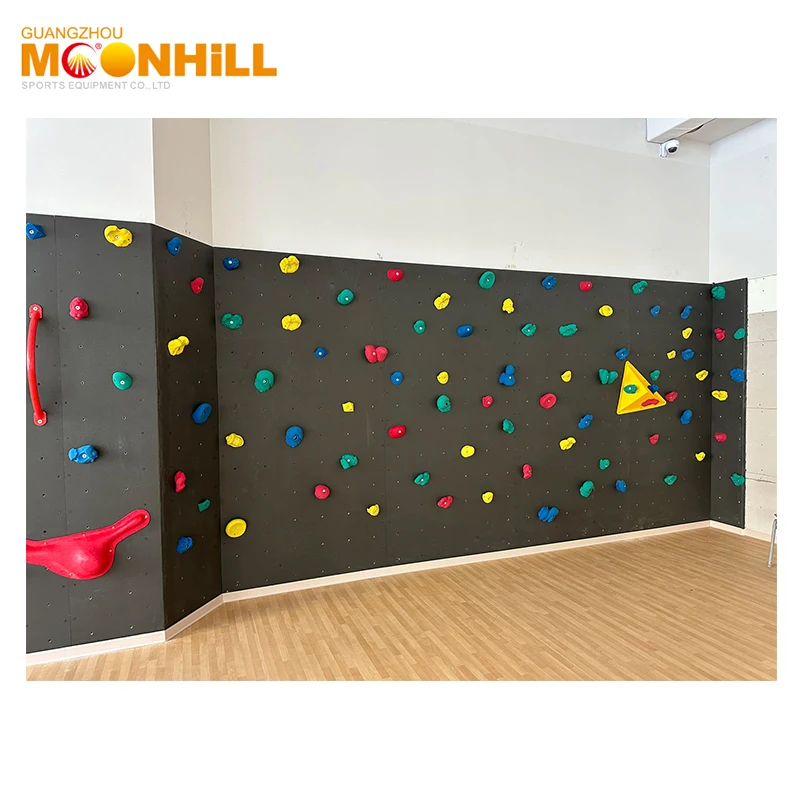 Indoor Amusement Park Climbing Wall For Commercial For Educational Play ...