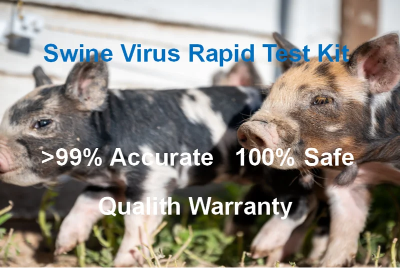 Swine Rapid Test Pig Disease Rapid Test Kit - Buy Swine Rapid Test,Pig ...