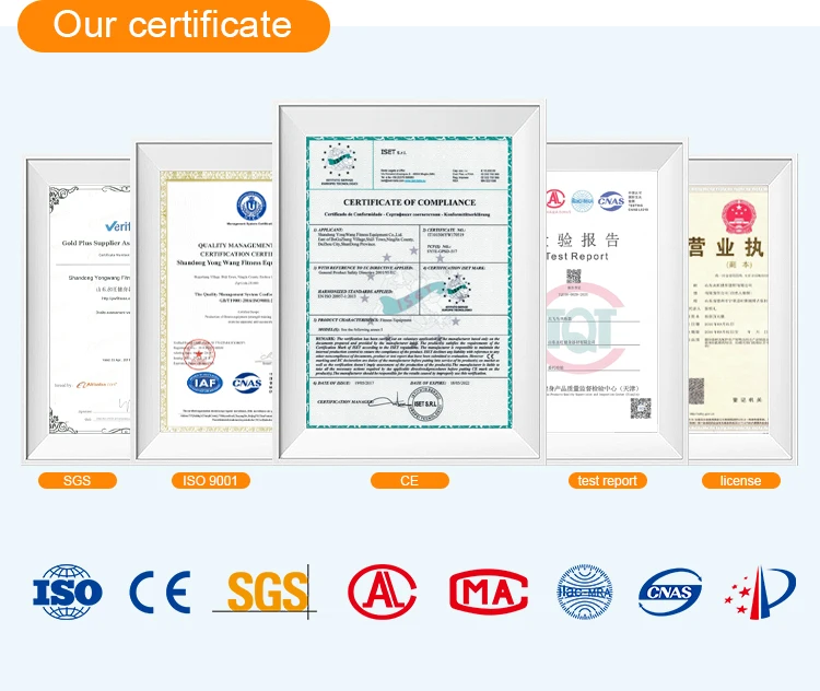 Adjustable Steel Incline Level Row Back-Training Functional Exercise ...